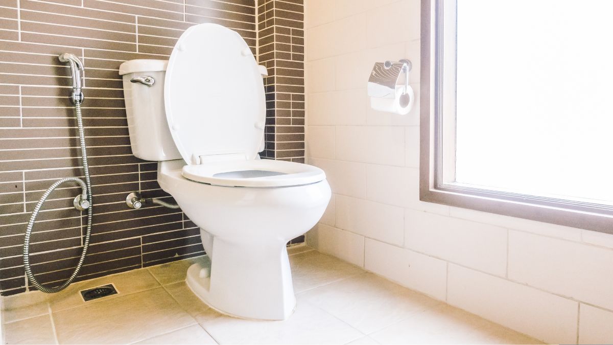 Don't Panic! How to Handle a Toilet Overflow Like a Pro